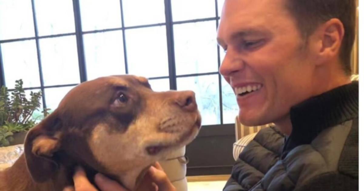 El lado científico de Brady: El ex-NFL clonó a su mascota Lua gracias a Colossal Biosciences