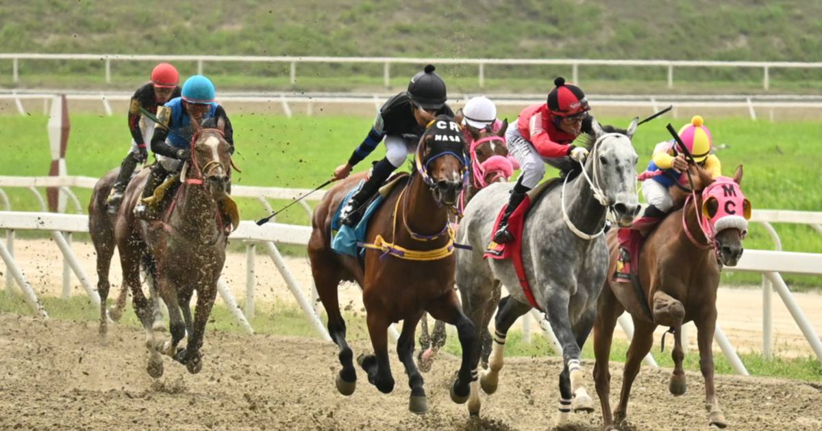 La clave para el 5y6: Aquí te damos la información más "regada" para la ...