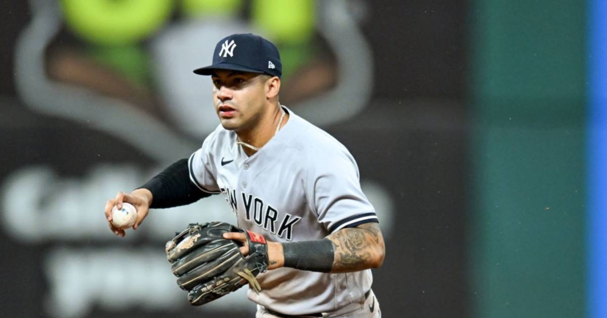 LVBP: Esto dice Gleyber Torres sobre los rumores de cambio en los que está envuelto en la MLB ...