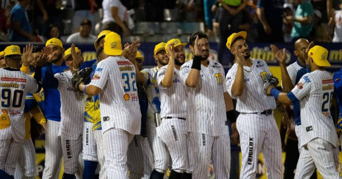 LVBP: Magallanes y sus principales bujías para el despertar ofensivo ...