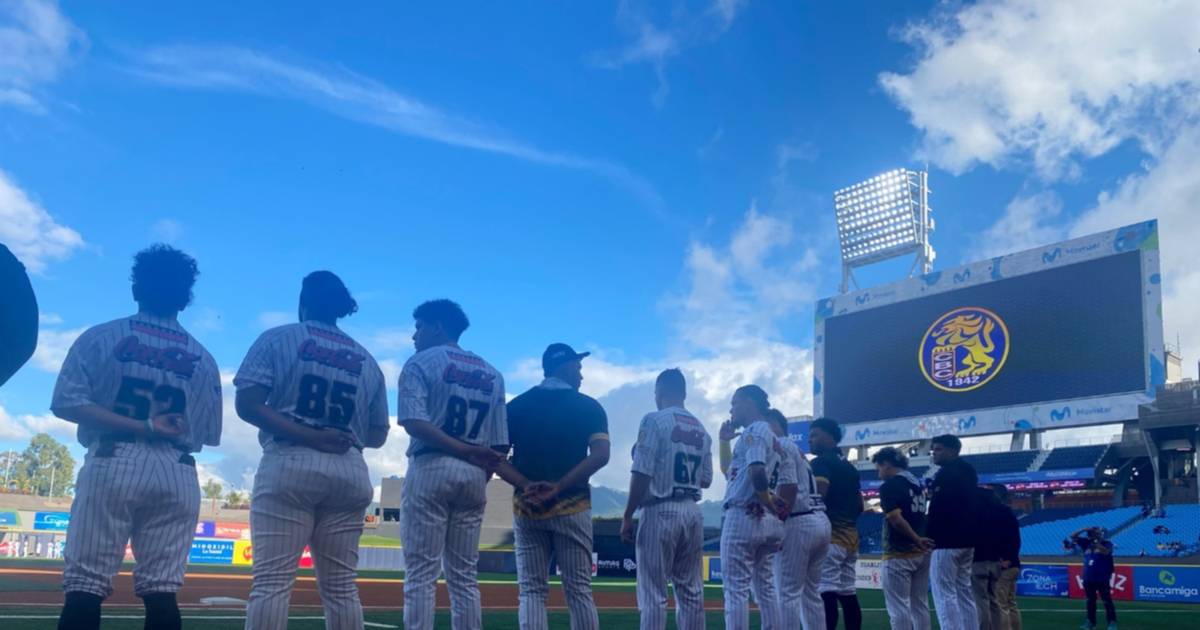 LVBP: Así va la serie particular entre Leones del Caracas y Navegantes ...