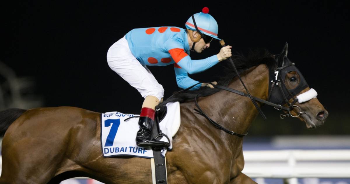 El mejor caballo del mundo servirá a esta campeona récord-horse el ...