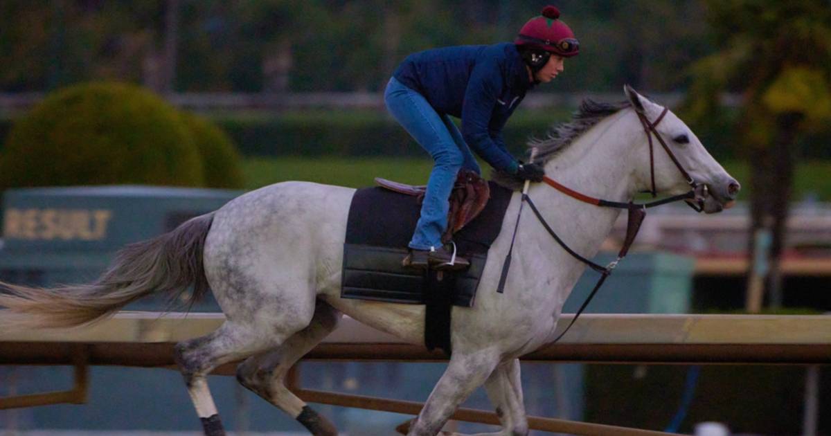 Este es el primer ejercicio de White Abarrio después de ganar la ...