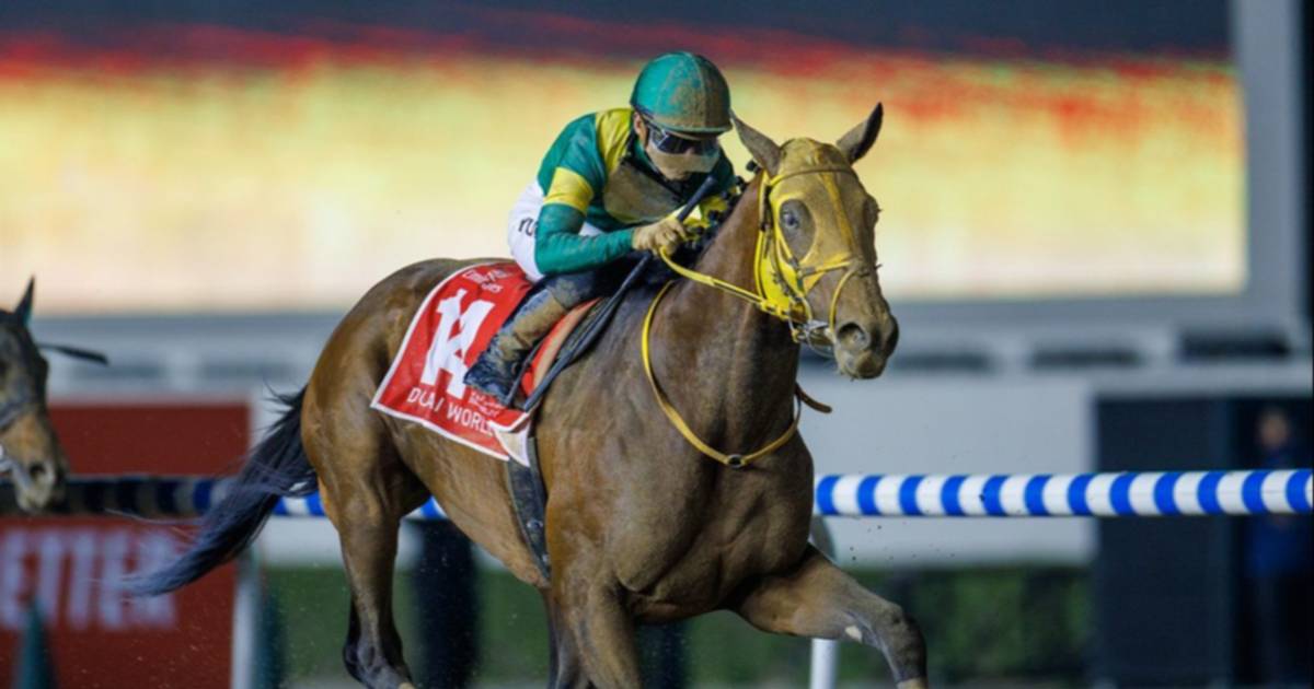 Gran caballo japonés regresa a las pistas este viernes en Stakes Grado 1