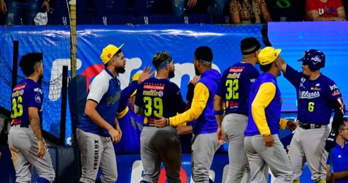 LVBP: Estas son las piezas de Magallanes disponibles para el draft de ...