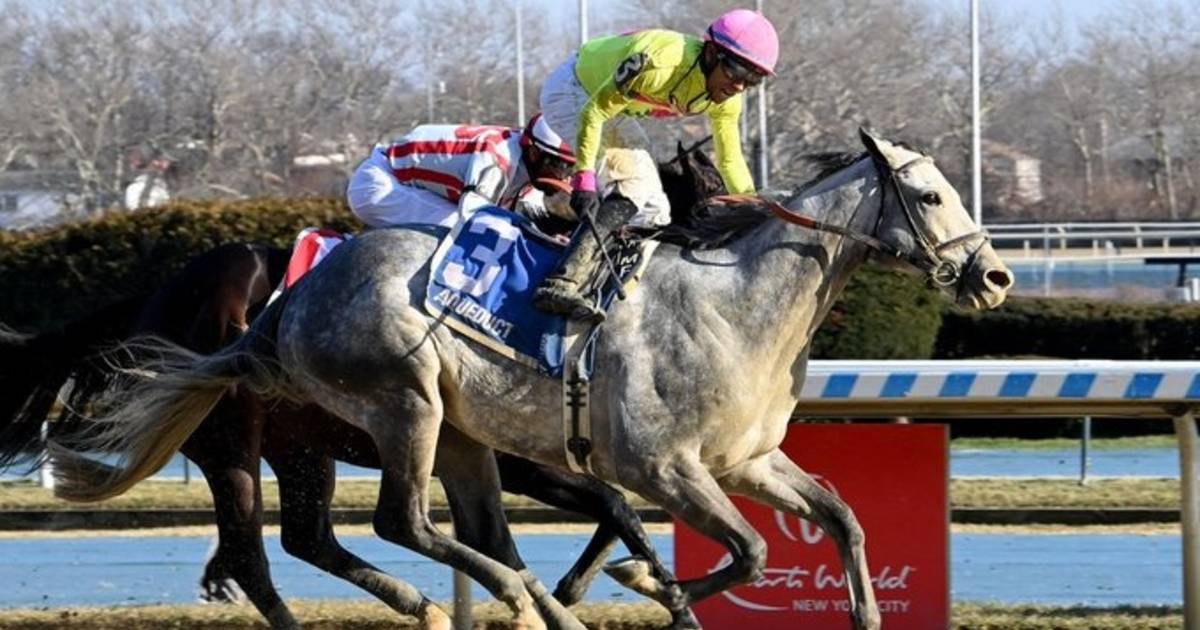 Jockey puertorriqueño consigue el Alex M. Robb Stakes del viernes en ...