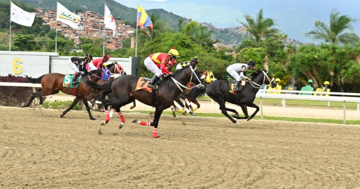 Este caballo tronó en su ajuste para hacer suya la Copa Confraternidad ...