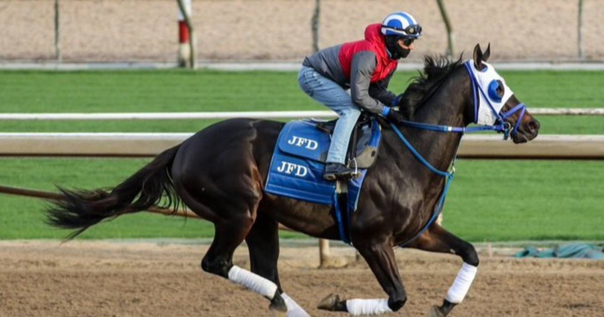 Caballo entrenado por José Francisco D'Angelo es el que más dinero ...