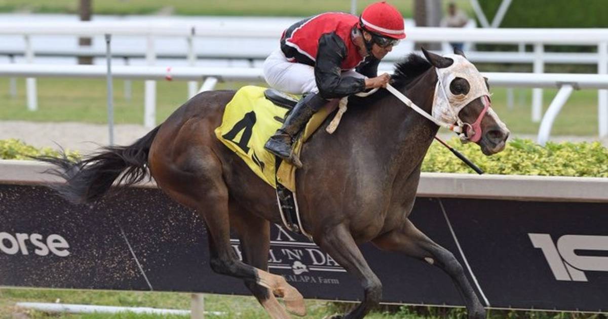 Leonel Reyes Ramos enrumbado a conseguir los 900 triunfos de por vida ...