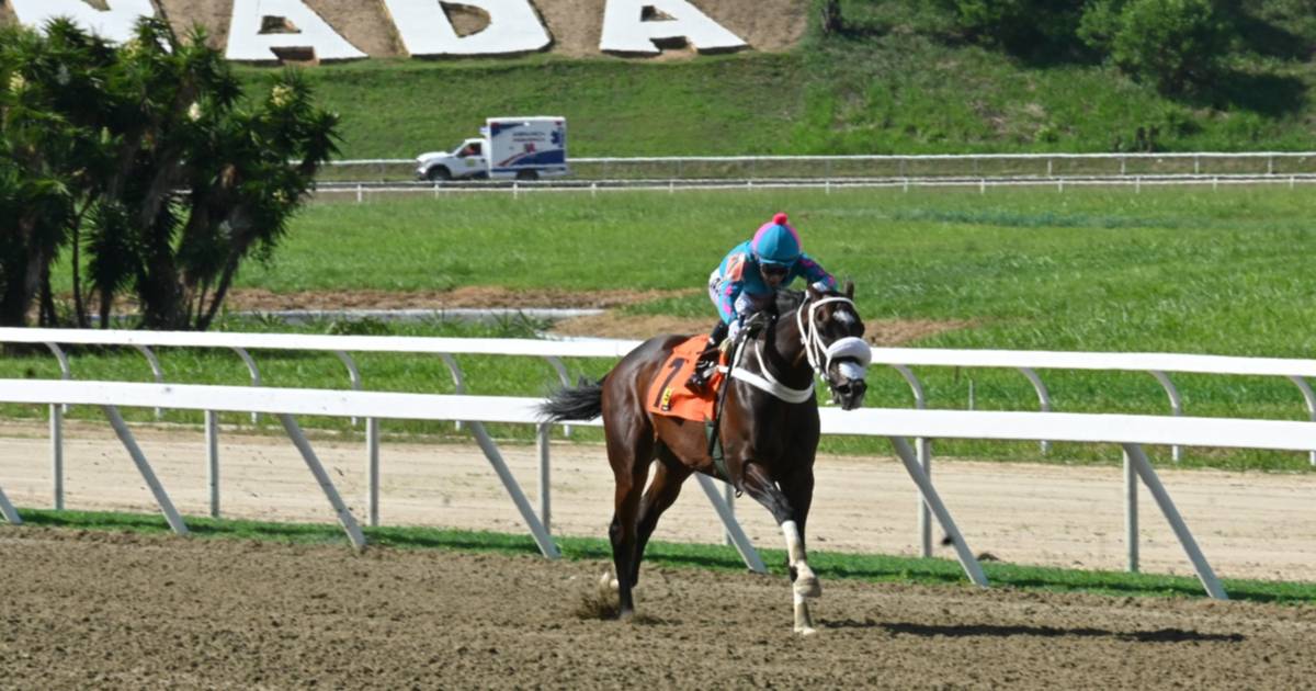 Princesa Fina gana de punta a punta el Clásico Internacional Ramón A ...